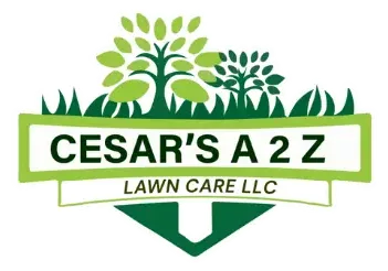 The Best Landscaping Services - Cesar’s A 2 Z Lawn Care LLC